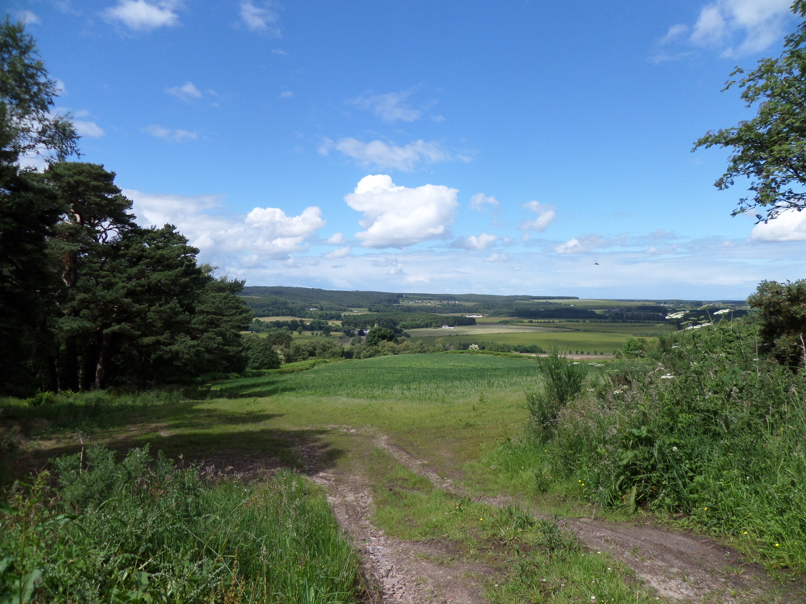 Boris Blogs for Boot Steps - One Million Boot StepsOne Million Boot Steps